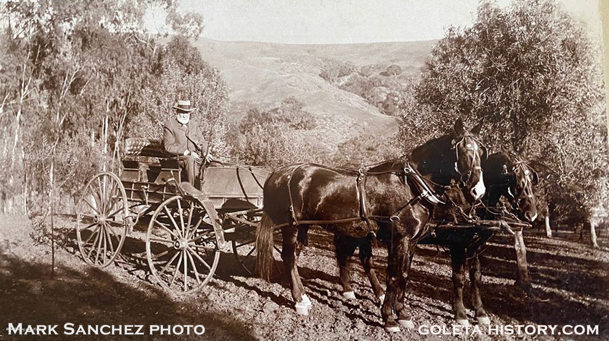 The Ellwood Queen – Goleta History